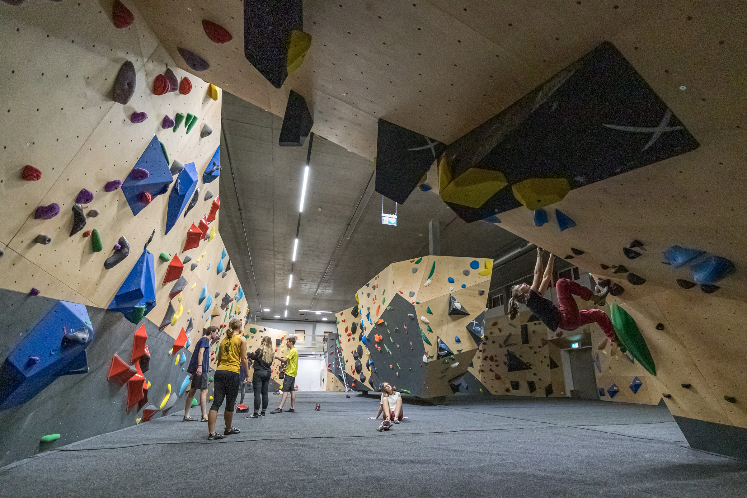 ARANEA+ Klettern und Badminton » Zutritt Boulderhalle